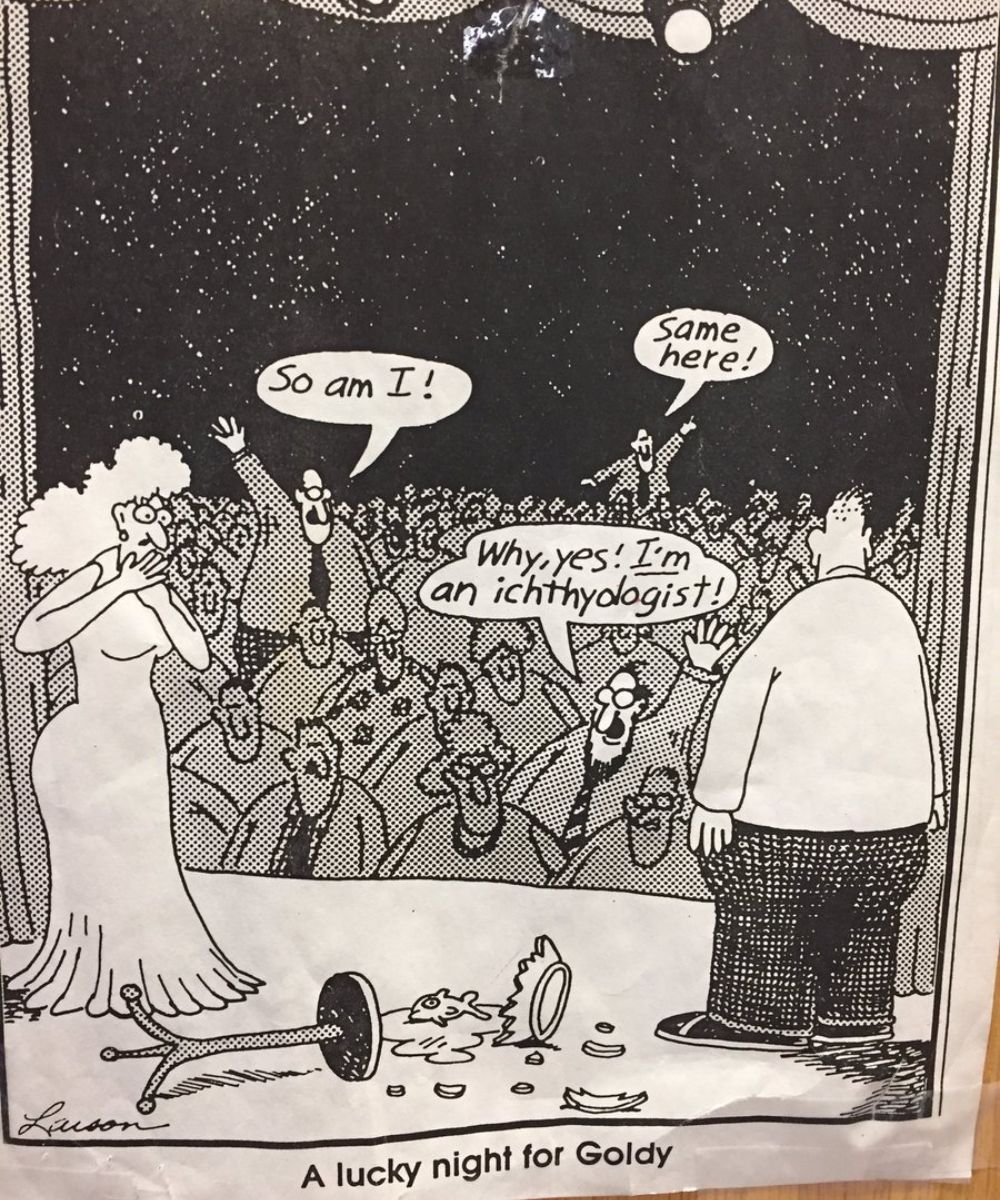 Gary Larson's 10 Best Comics, Ranked
