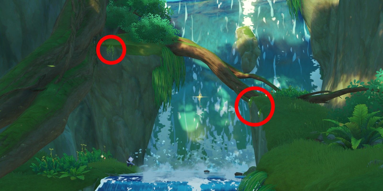 Genshin Impact: Nahida Ascension Materials Farming Guide