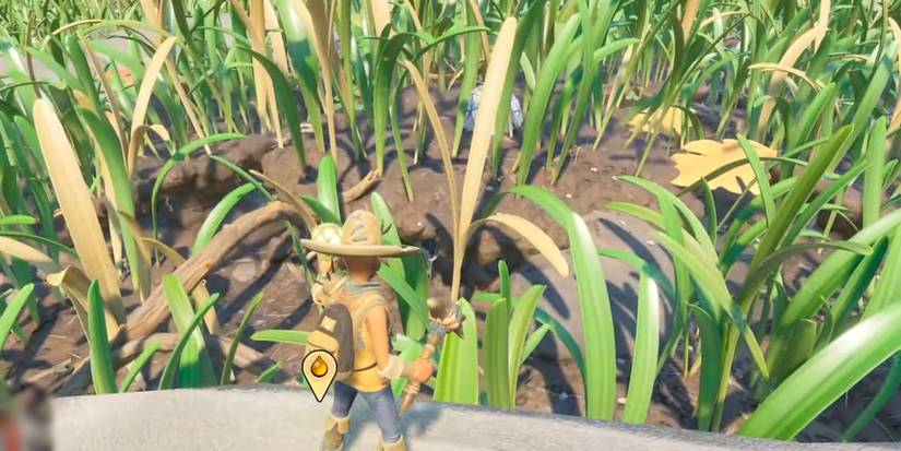 How to Get to the Upper Yard in Grounded