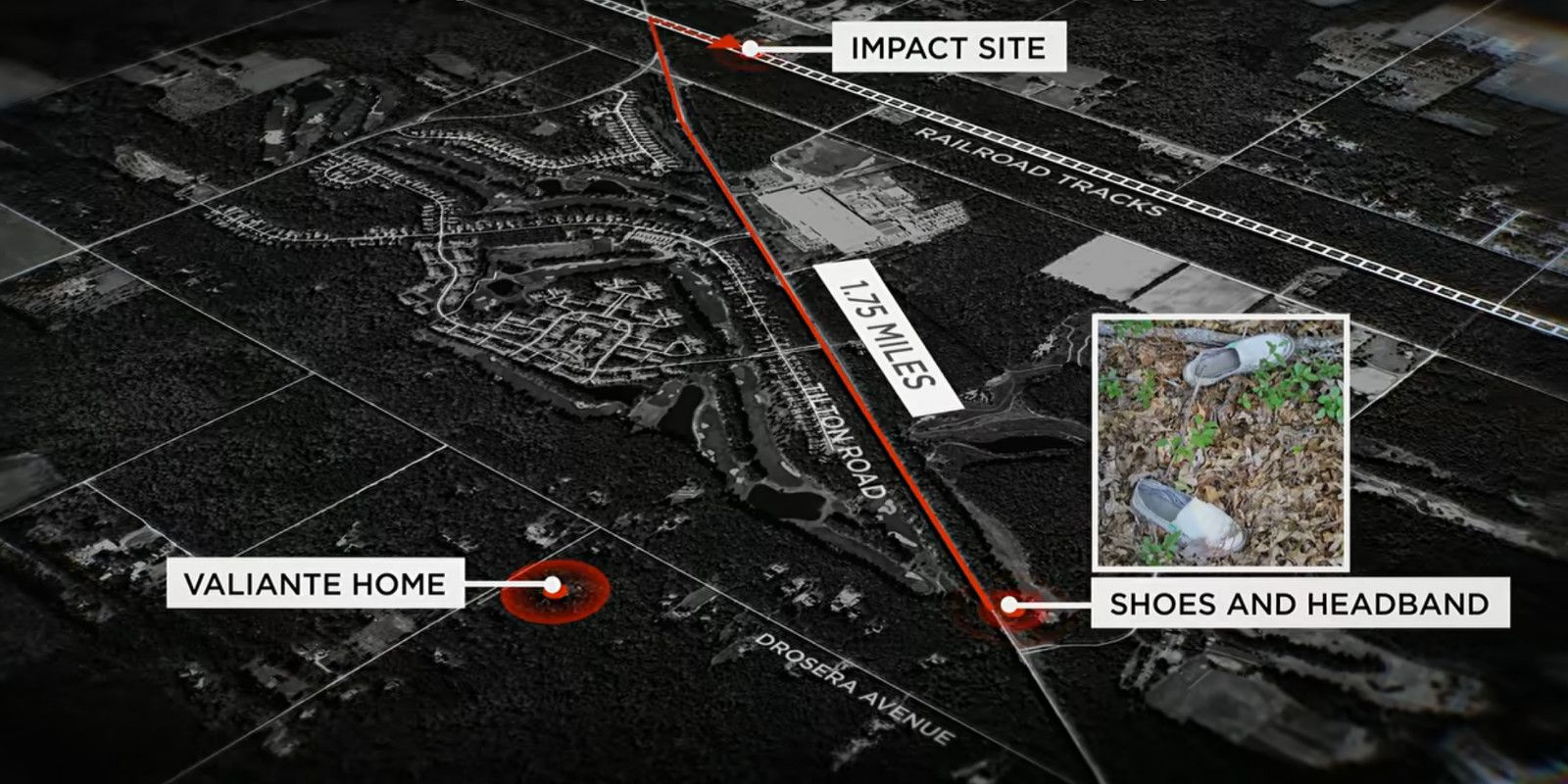 Manga Problems With The Tiffany Valiante Suicide Theory In Unsolved ...