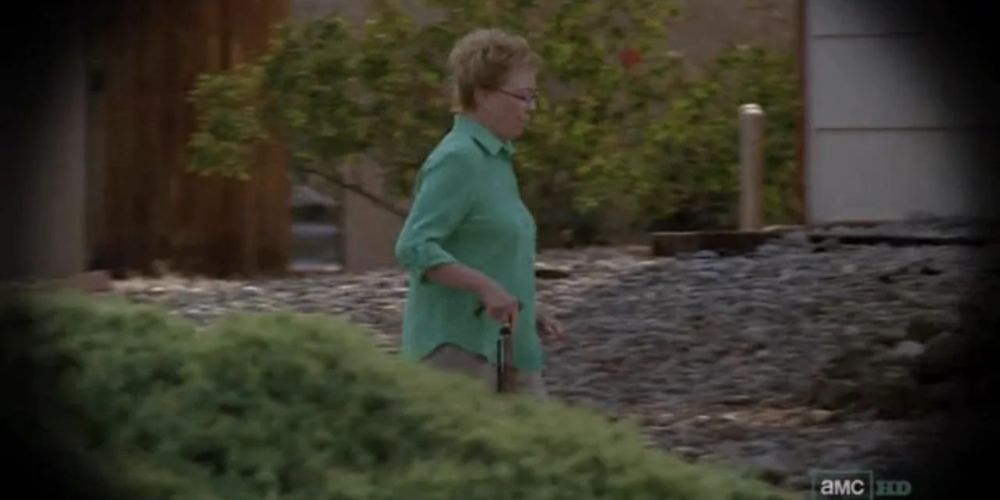 Breaking Bad 10 Annoying Plot Holes That Bother Redditors The Most