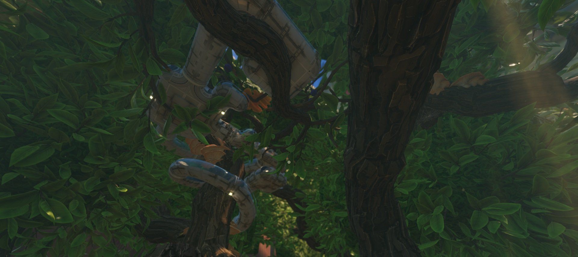 Best Locations To Build a Base in Grounded