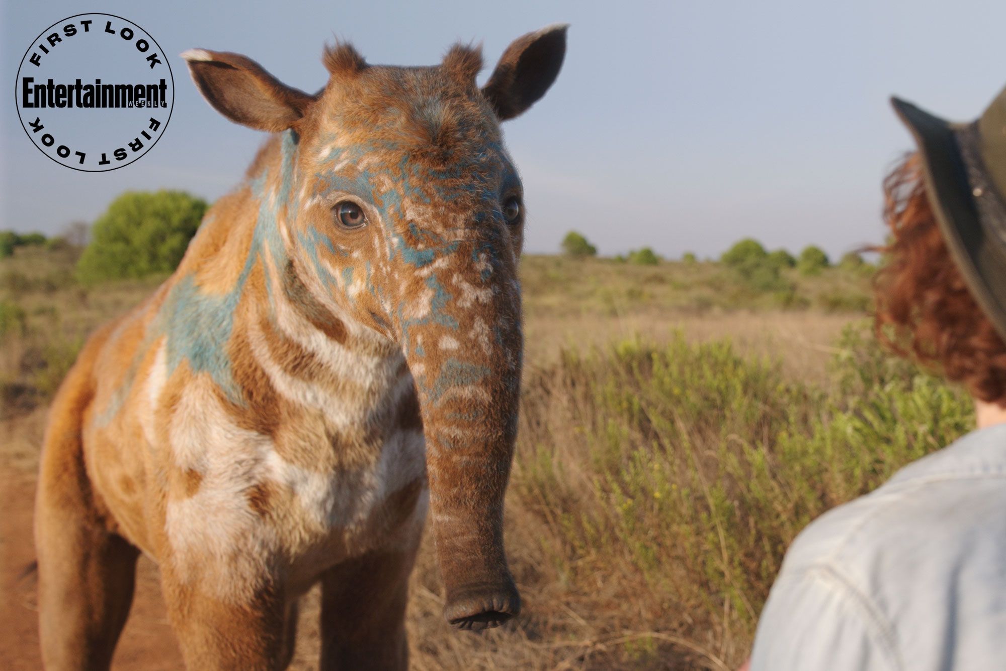 His Dark Materials Season 3 Images Reveal First Look At The Mulefa