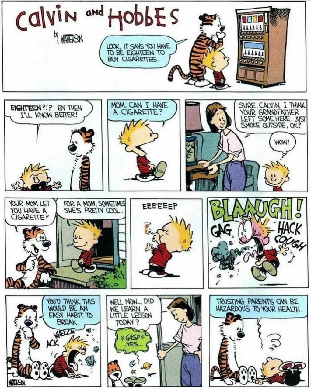 10 Funniest Calvin And Hobbes Comics About Parenting