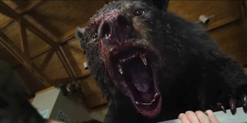 Cocaine Bear Video Reveals Drugged Up Animal's Super Powered Abilities