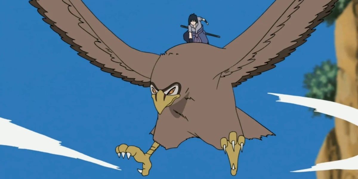 Naruto: 10 Best Animal Companions, Ranked