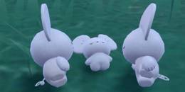 How To Get Family Of Three And Four Maushold In Pok mon Scarlet And Violet