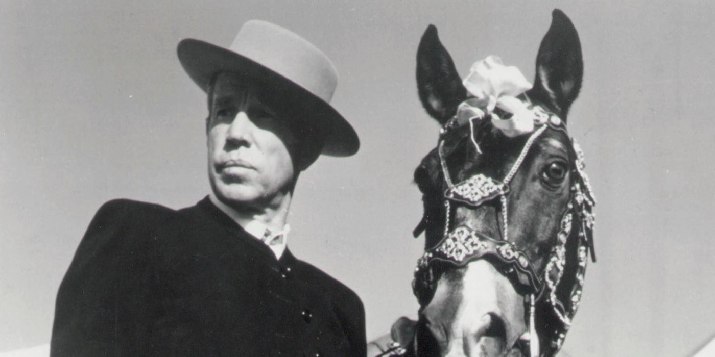 Every Easter Egg In Kill Bill Vol. 2