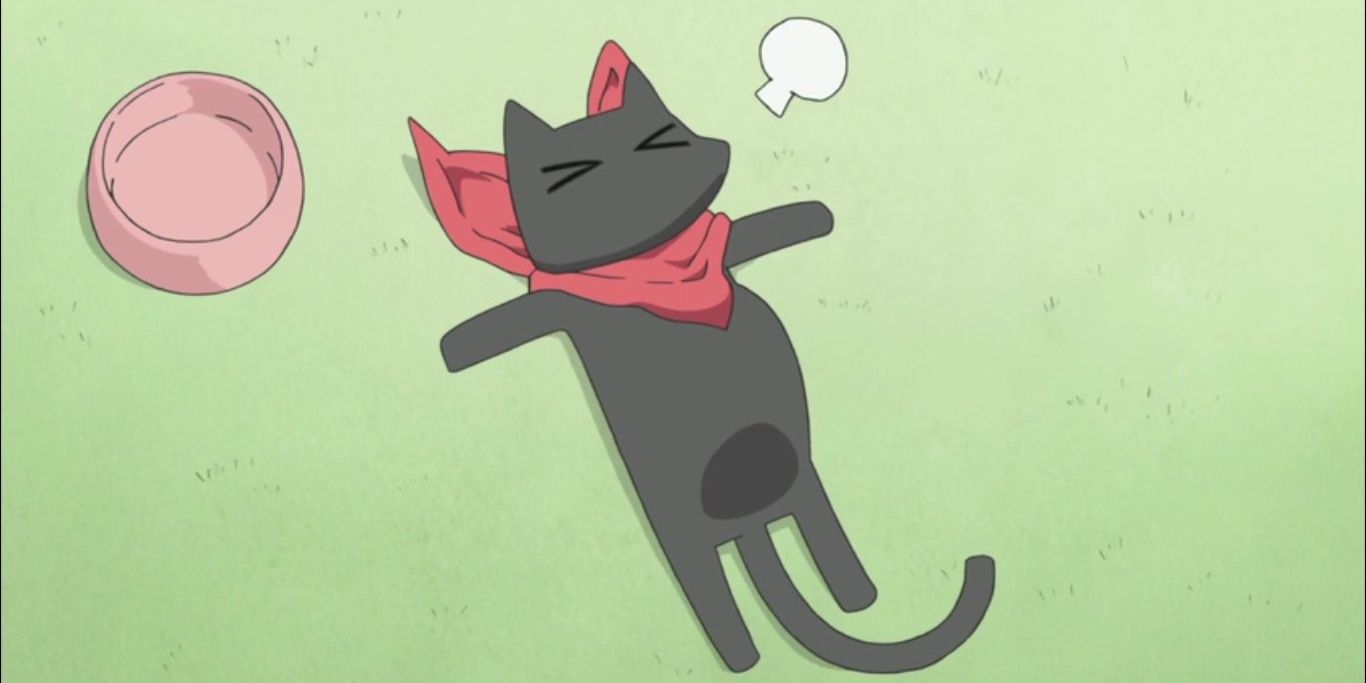 10 Best Cat Companions In Anime