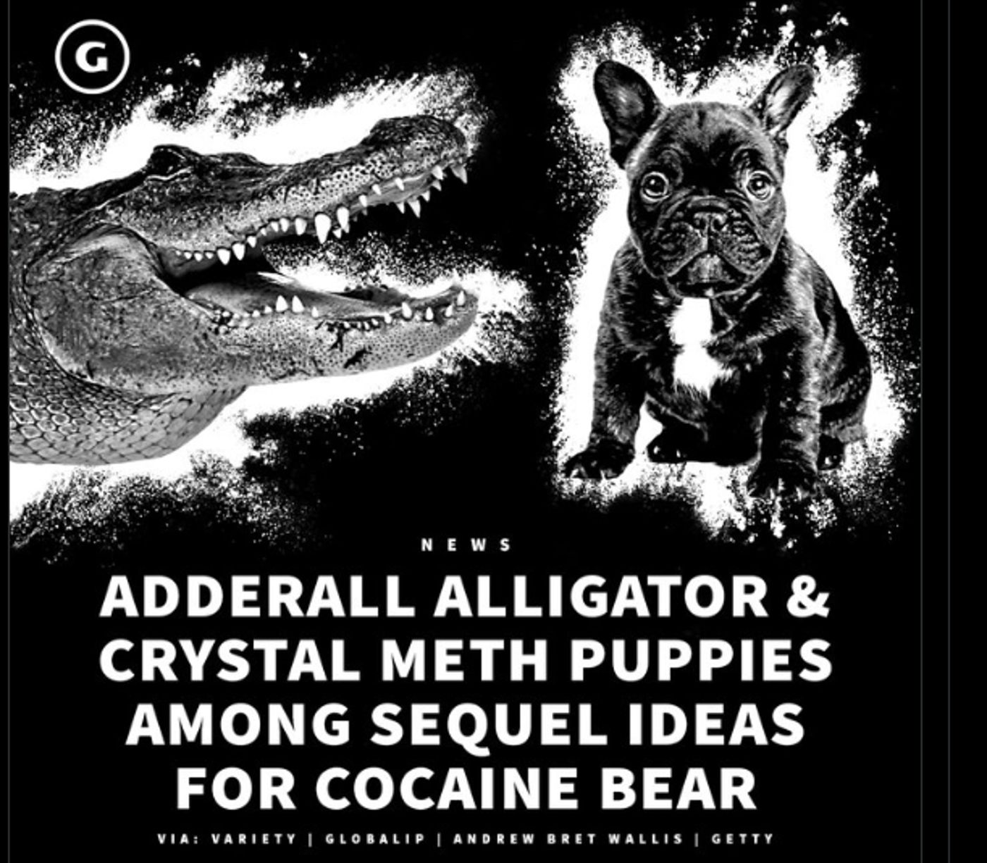 Bear Coke Memes Cocaine Bear Super Bear'd Meme Generator