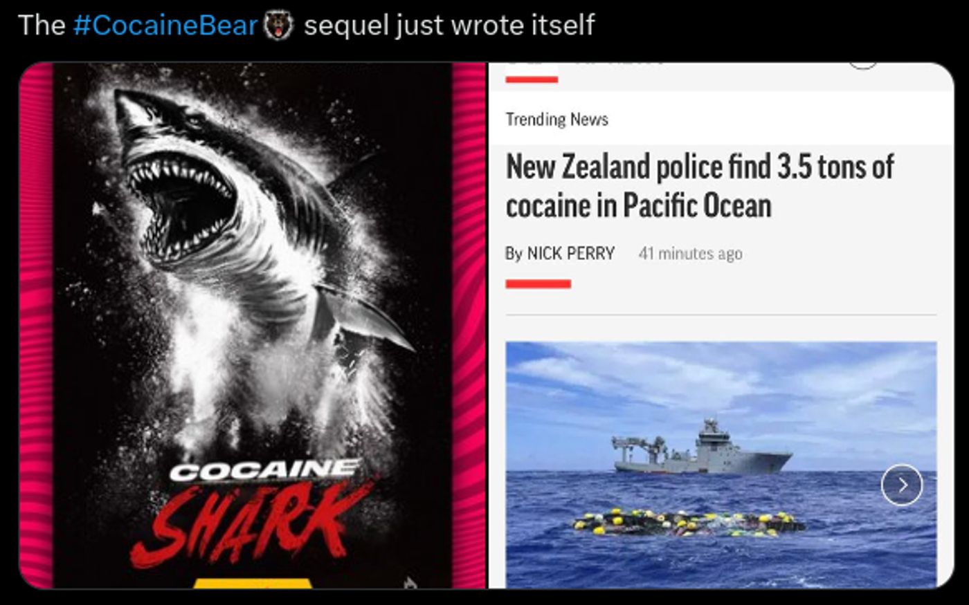 Bear Coke Memes Cocaine Bear Super Bear'd Meme Generator