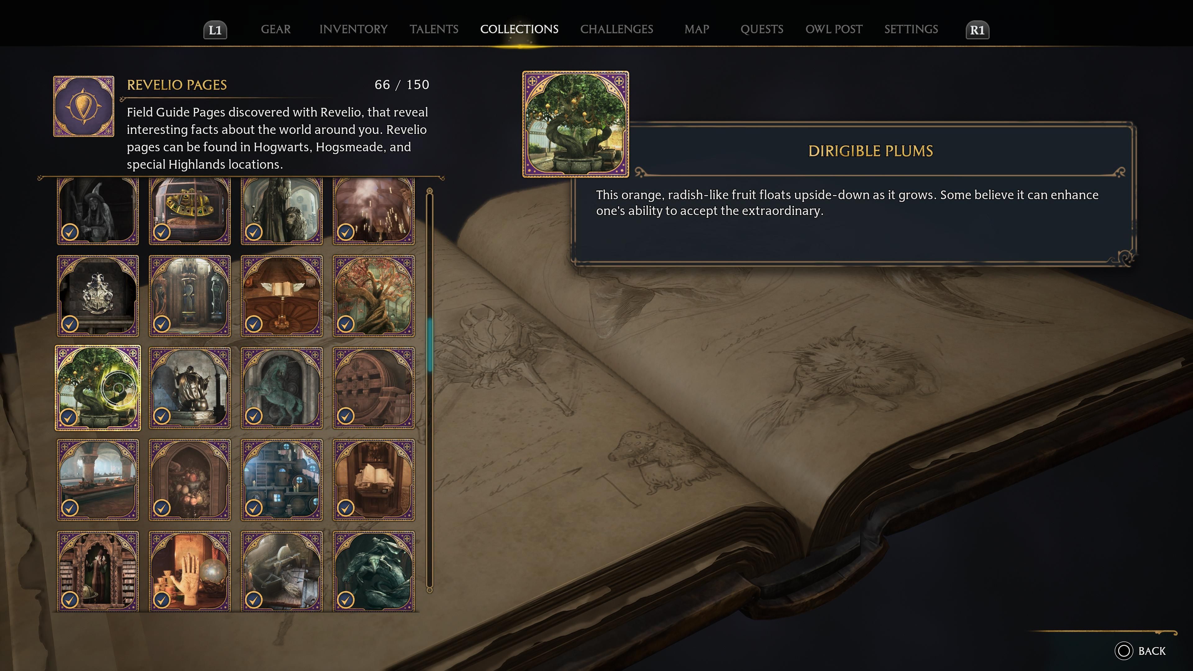 Hogwarts Legacy: All Field Guide Page Locations In Hogwarts: Library Annex