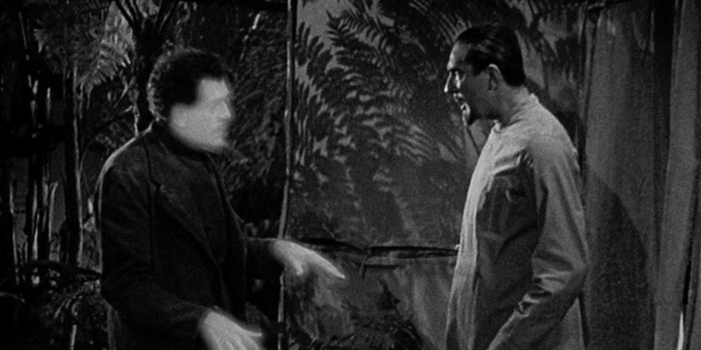 Every Boris Karloff & Bela Lugosi Movie, Ranked