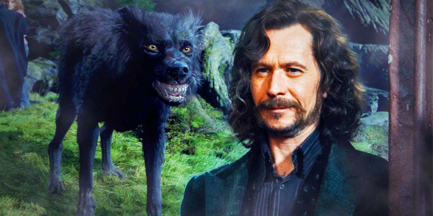 Harry Potter: How To Become An Animagus (Every Step Explained)