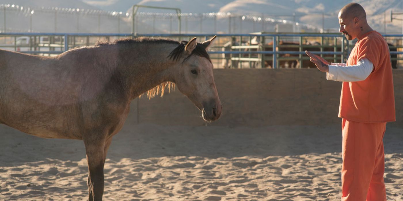 The Mustang True Story: 5 Biggest Changes To The Real Rehab Program