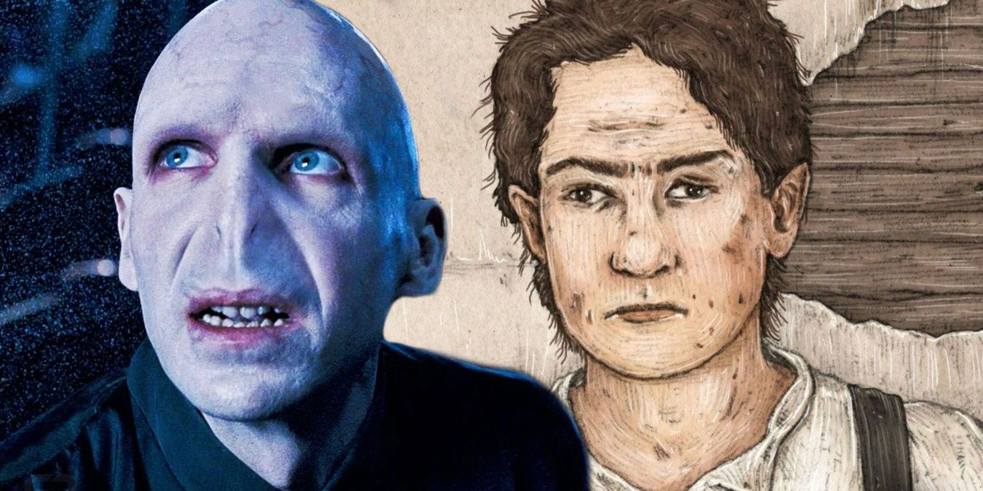 9 Harry Potter Storylines Cut From The Movies That The TV Show Can Do