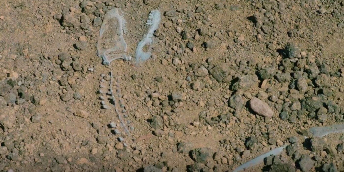 Yellowstone Can Still Pay Off Its Bizarre Dinosaur Bones Story