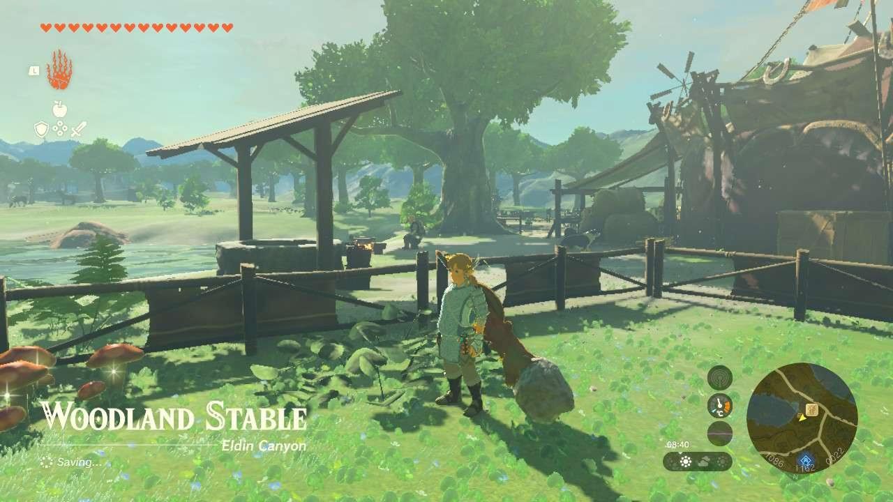 Zelda: Tears of the Kingdom - All 58 Well Locations