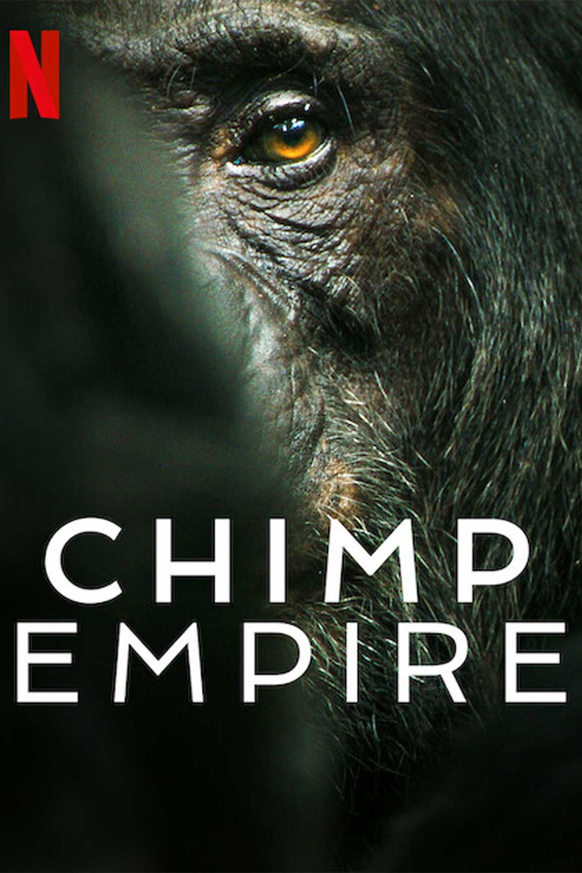 Chimp Empire Summary, Latest News, Trailer, Season List, Cast, Where to ...