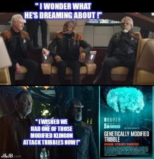 10 Best Star Trek: Picard Memes That Sum Up Season 3's Ending
