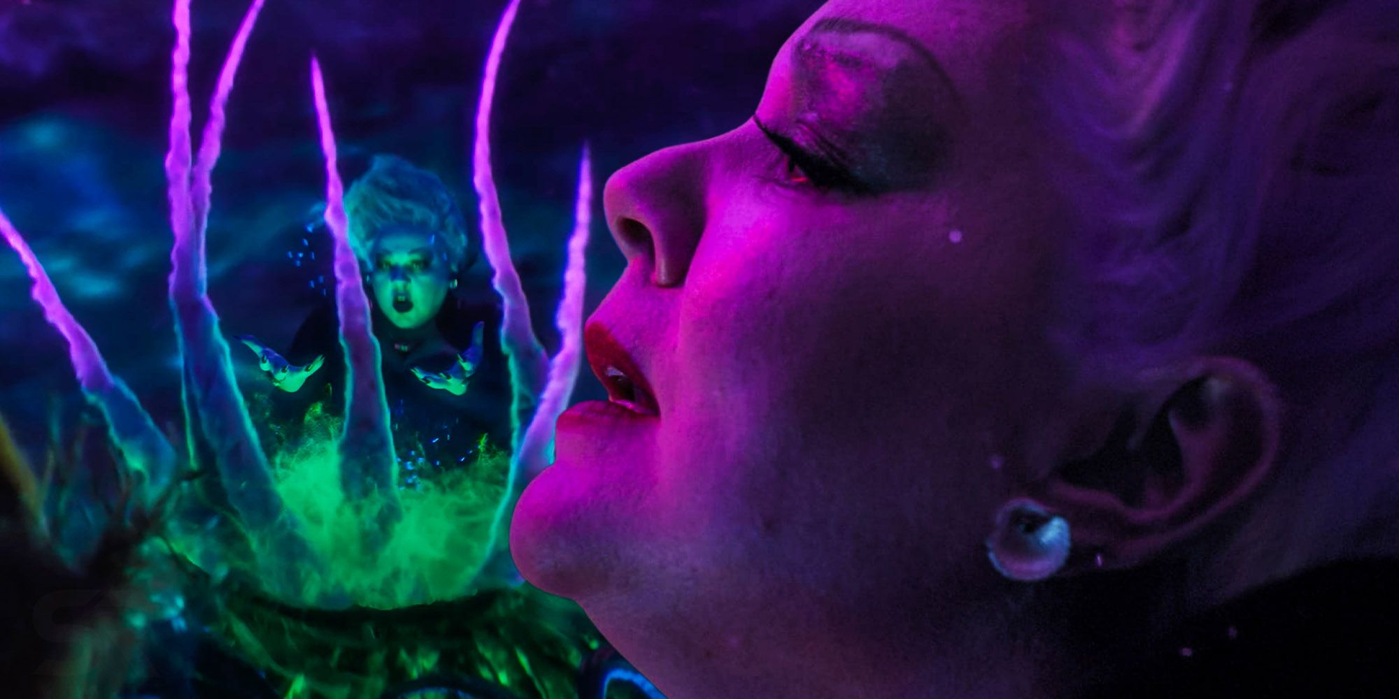 Ursula's The Little Mermaid Family Connection Creates A New Species Mystery