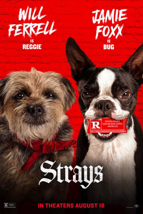 What Types Of Dogs Reggie & The Other Main Characters Are In Strays
