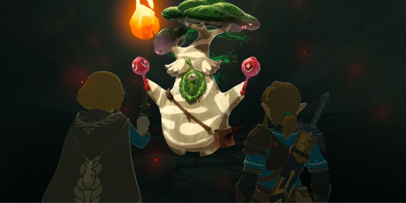 How Many Korok Seeds Are In TOTK (& What Hestu's Reward Is)