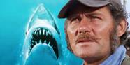 Jaws Kill Count How Many People The Sharks Killed In All 4 Movies