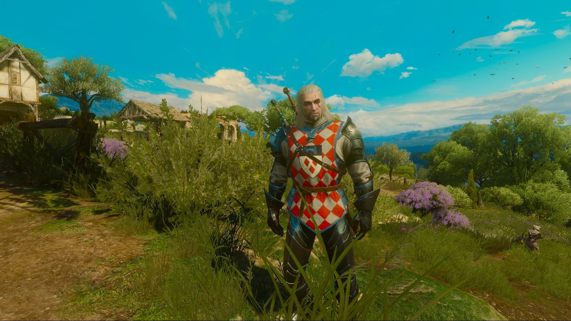 7 Best Armor Sets In The Witcher 3