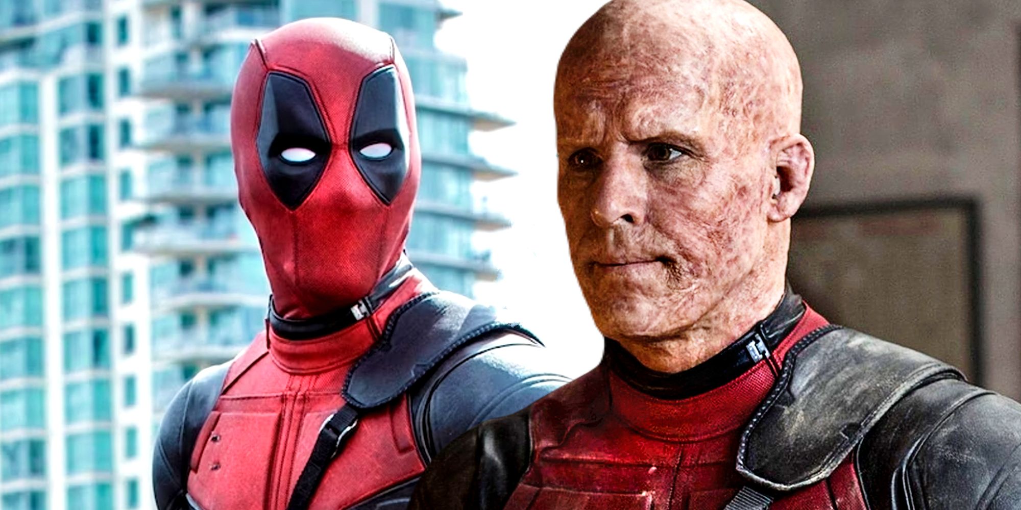 Rocket Raccoon Is A Mutant In The MCU: This Wild Marvel Theory Actually ...