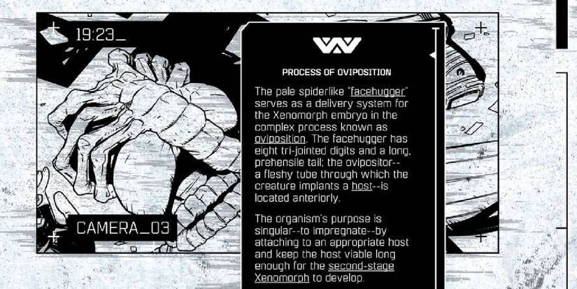 Alien Shares a Wildly Disturbing Fact About Facehuggers' Biology