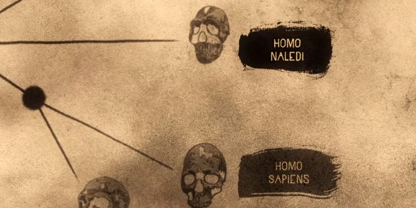 Unknown: Cave Of Bones – The Homo Naledi Species & Lee Berger's ... Unknown: Cave Of Bones – The Homo Naledi Species & Lee Berger's ...