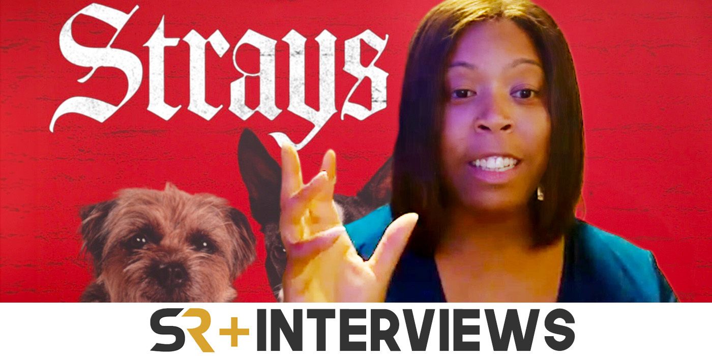 Strays Summary, Trailer, Cast, and More