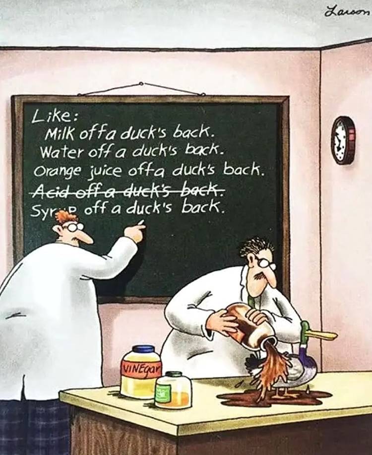 13 Funniest Far Side Comics That Prove It's Obsessed with Ducks