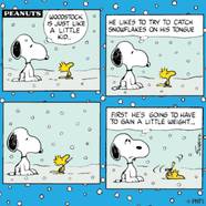 10 Funniest Peanuts Comics Starring Woodstock
