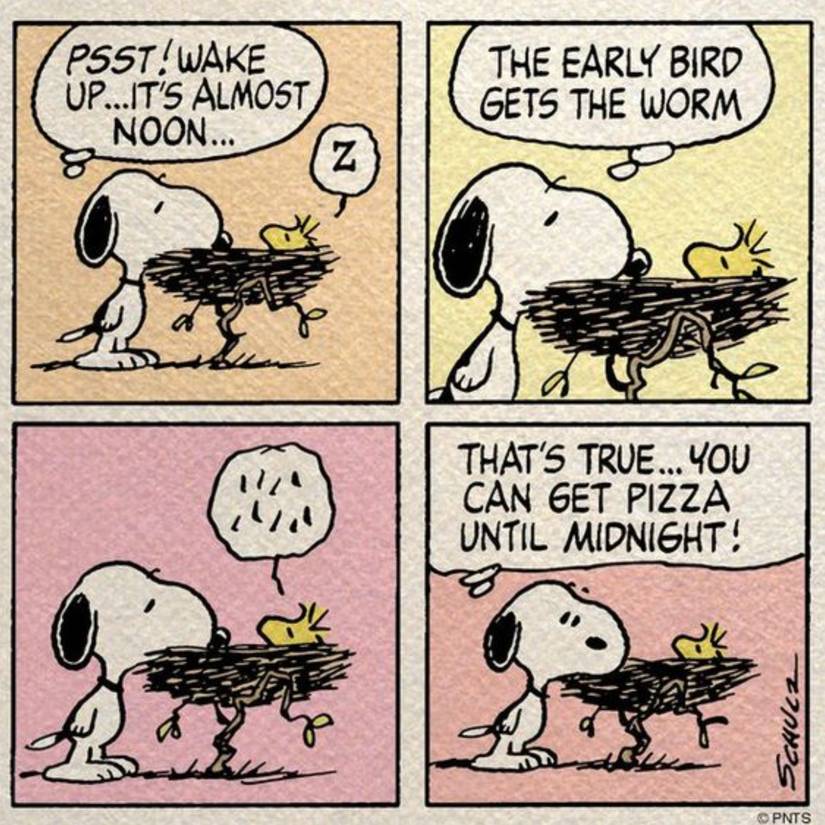 10 Funniest Peanuts Comics Starring Woodstock