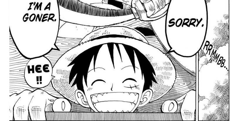 The Meaning of 'D.' in One Piece: Everything We Know So Far