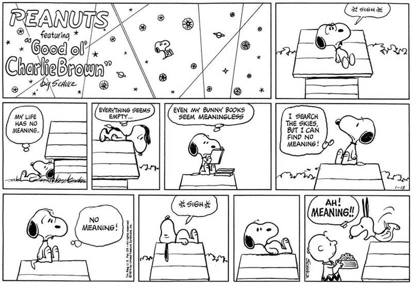 10 Funniest Peanuts Comics Starring Snoopy