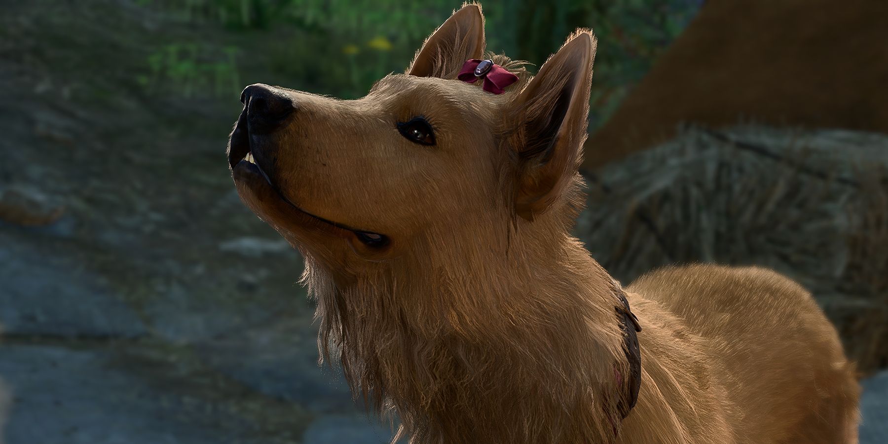 10 Best Times To Cast Speak With Animals In Baldur’s Gate 3
