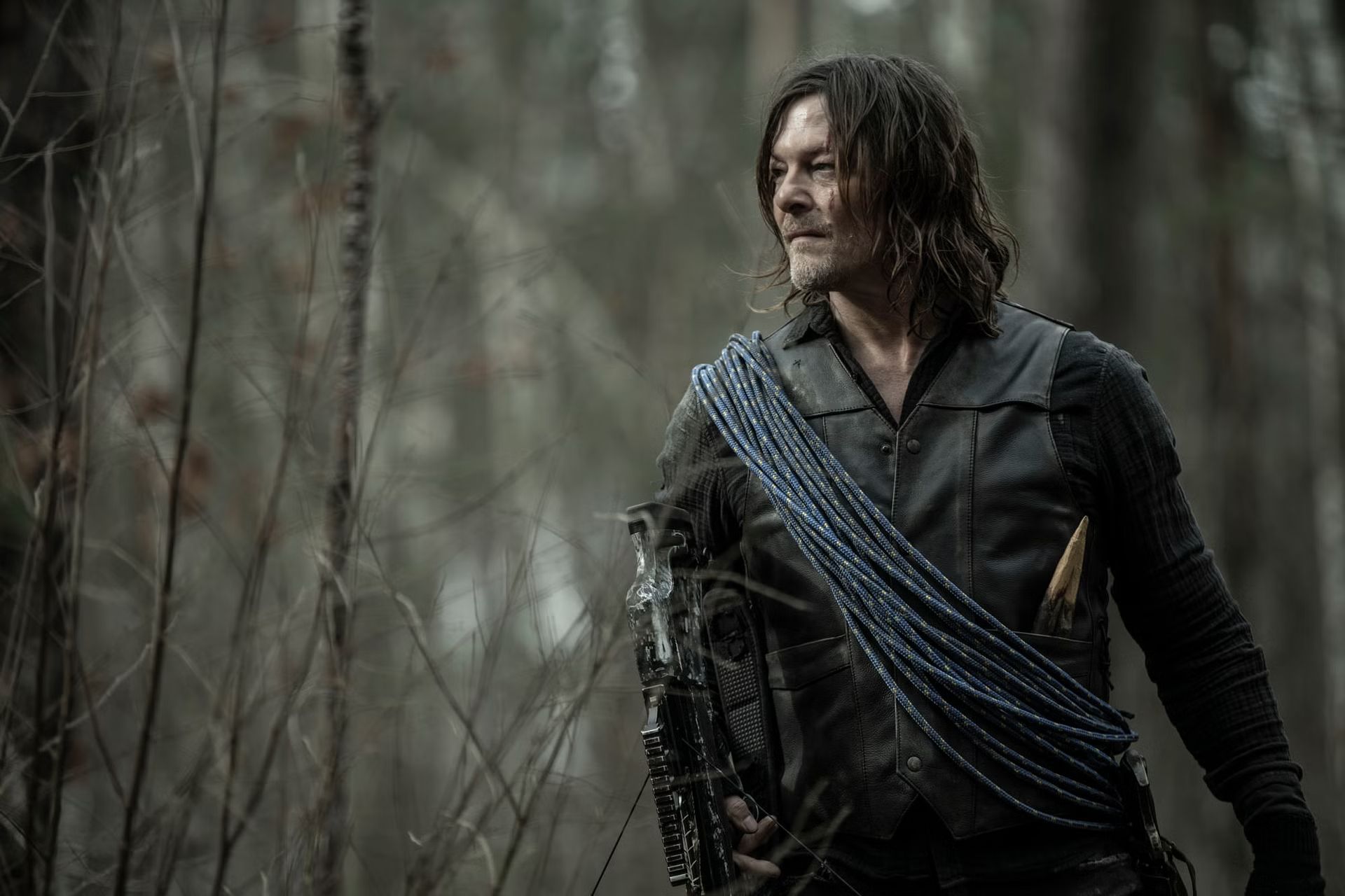 Wandelende Dode Daryl Dixon Strip The Walking Dead Seizoen 11 Recensie
