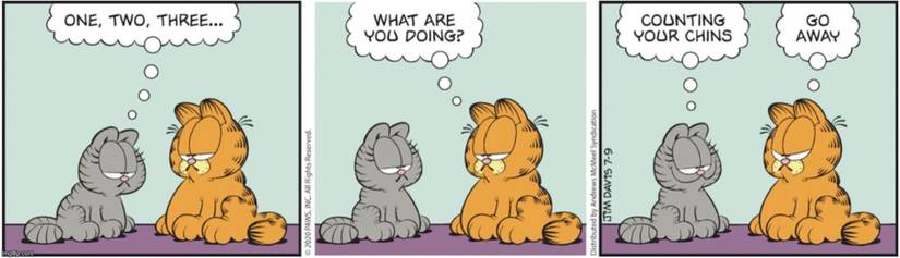 10 Funniest Garfield Comics Starring Nermal