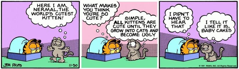 10 Funniest Garfield Comics Starring Nermal