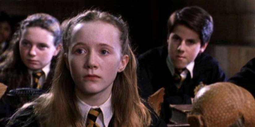 Harry Potter: The Most Powerful Families, Ranked