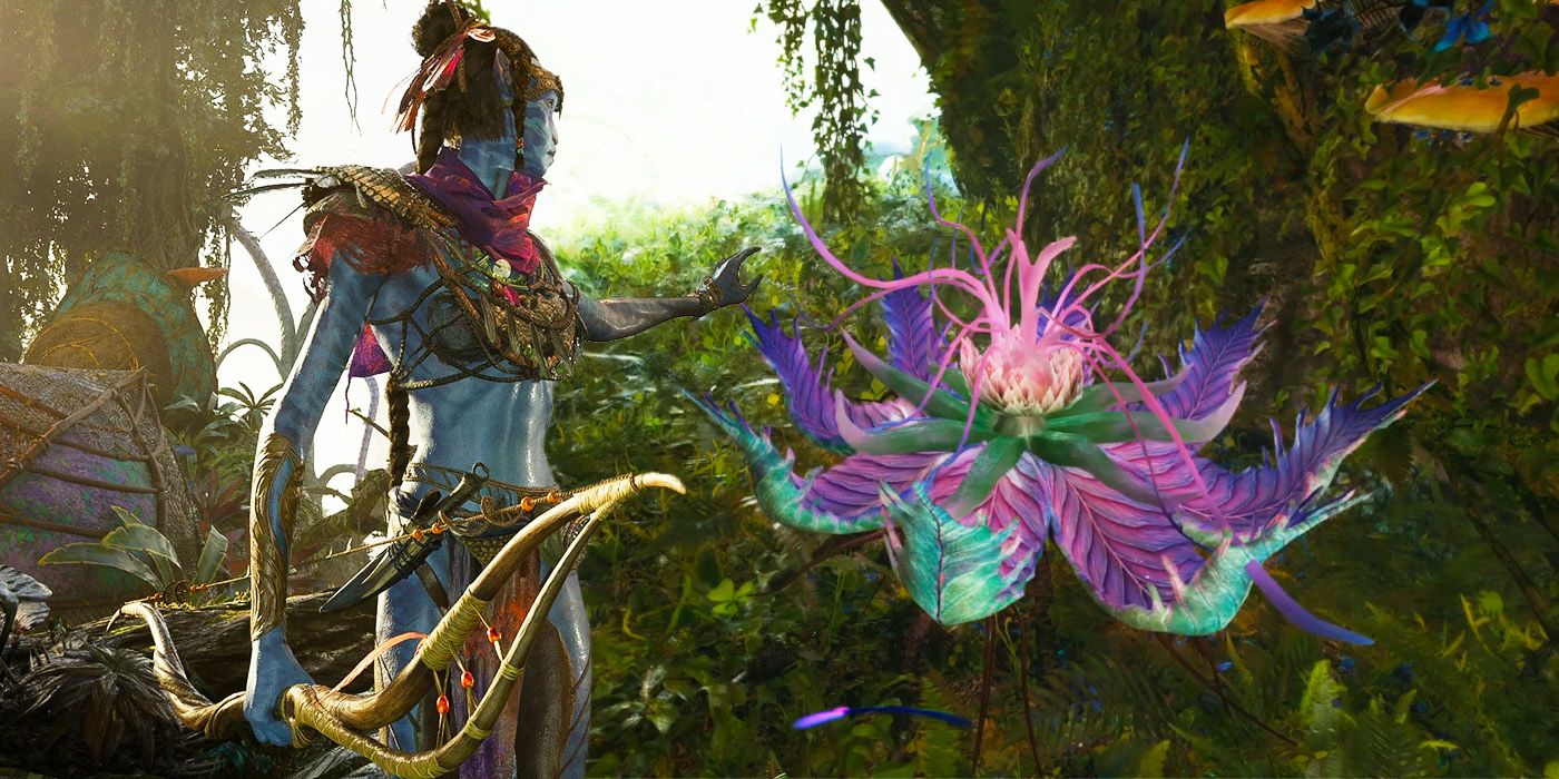 10 Best Exquisite Bows In Avatar: Frontiers Of Pandora, Ranked