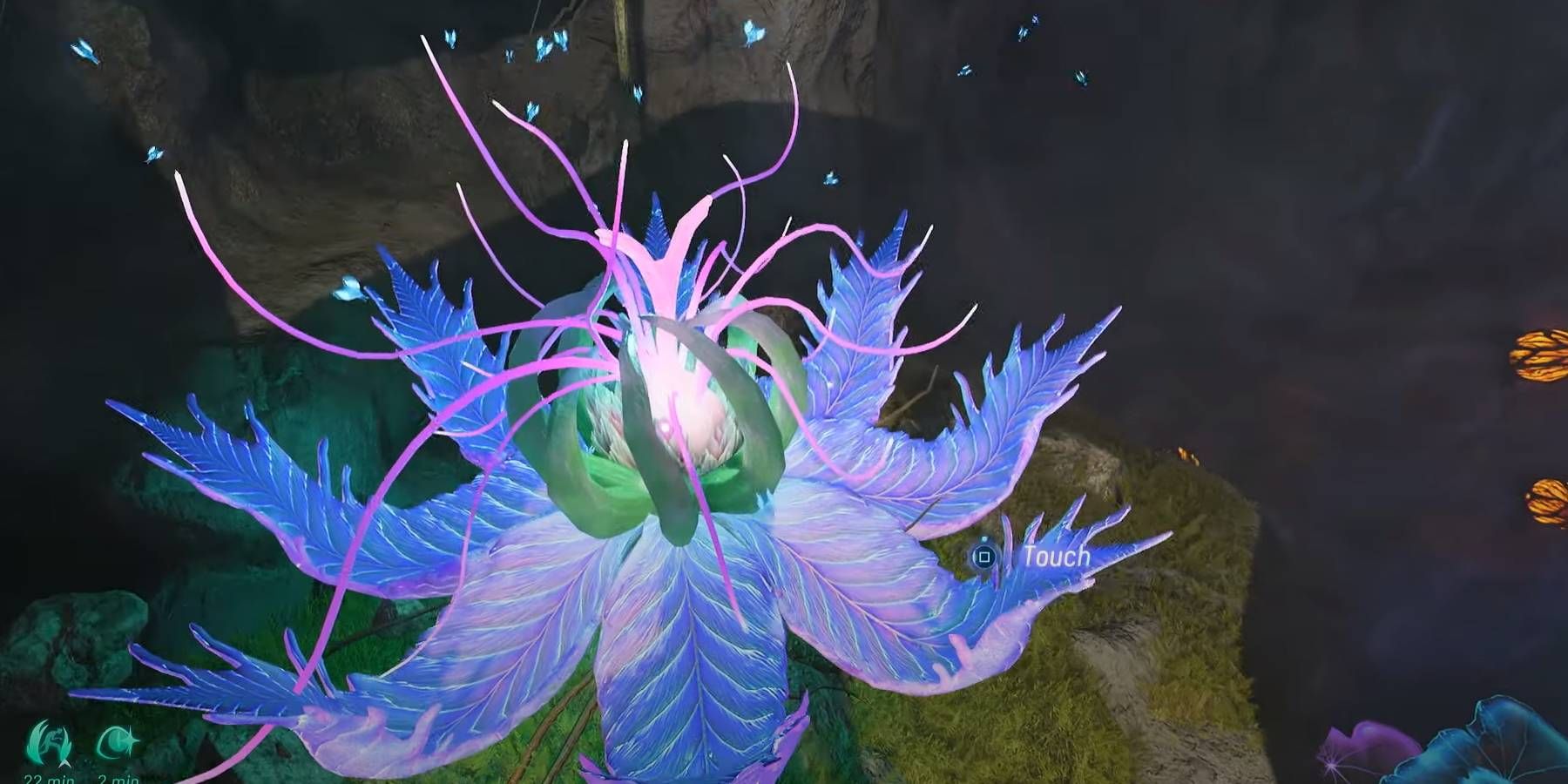 Every Tarysu Sapling Location in Avatar: Frontiers of Pandora