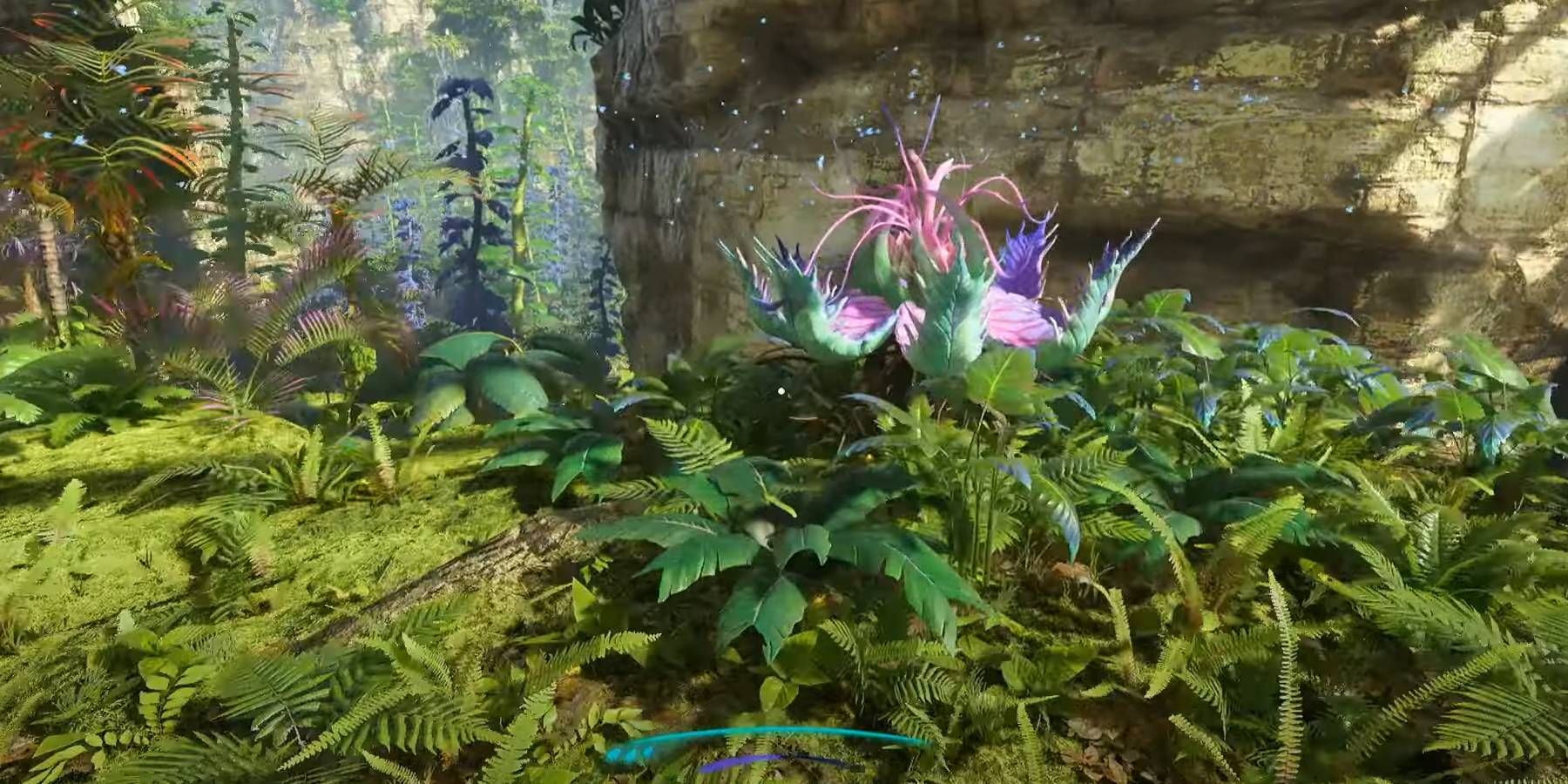 Every Tarysu Sapling Location in Avatar: Frontiers of Pandora