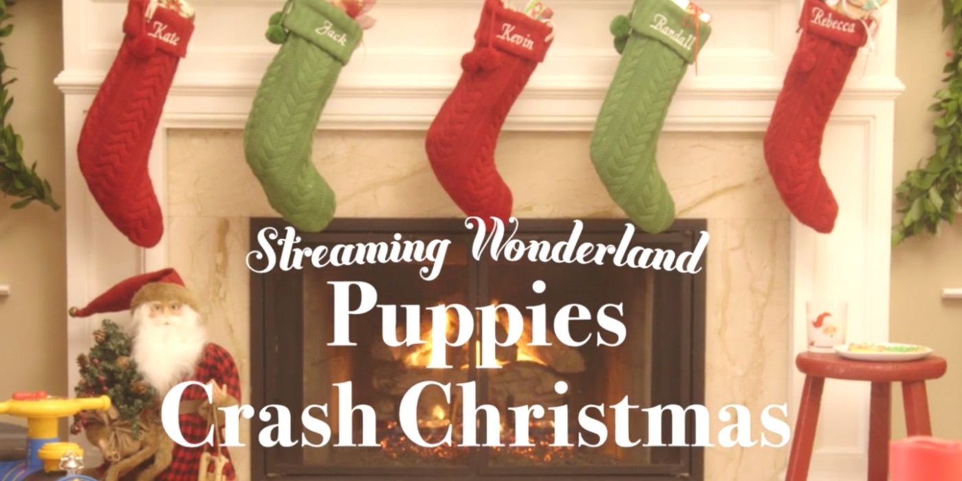 All 18 TV References In Hulu's Puppies Crash Christmas