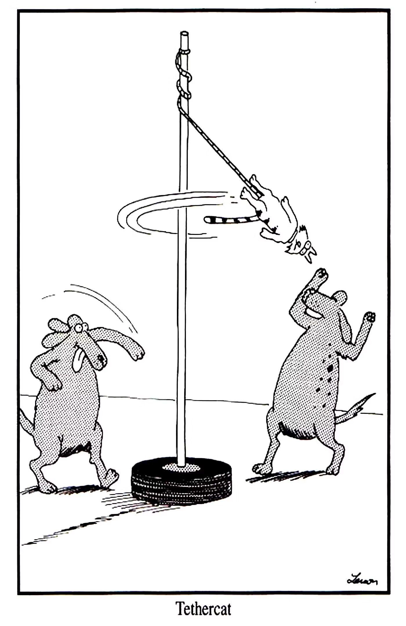 Untitled In 2020 Gary Larson Far Side The Far Side
