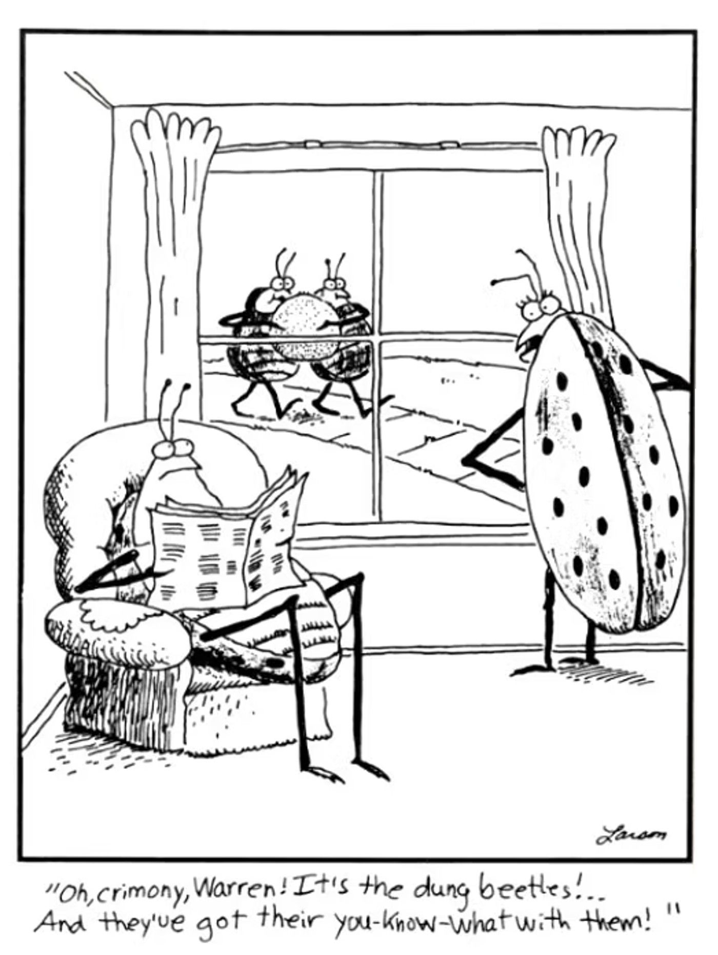 Came Far Side Cartoon