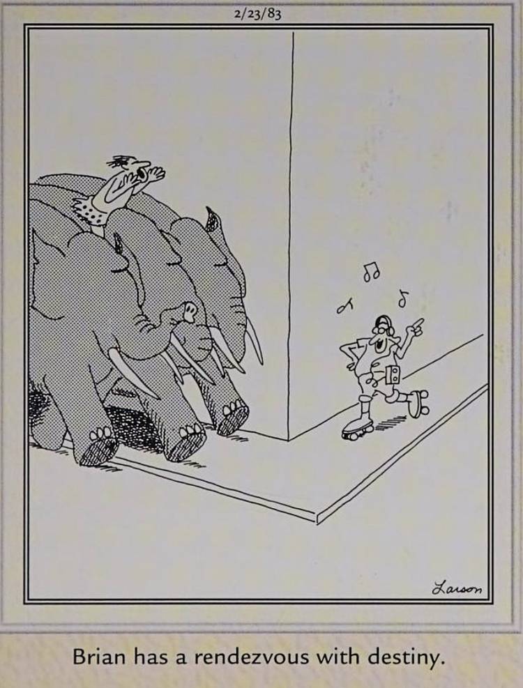 The Far Side: 15 Most Unforgettable Comics About Elephants